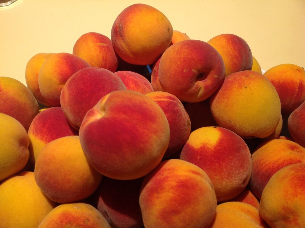 Preserving A Bumper Fruit Harvest - Sustainable JillSustainable Jill