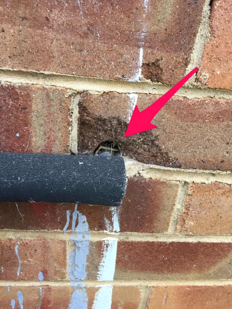 Does Your Home Leak Like A Sieve? - Sustainable JillSustainable Jill